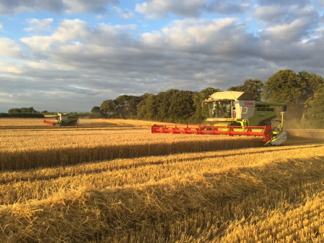 Arable Farming at Leverton Farms | Sustainable Crop Production and ...